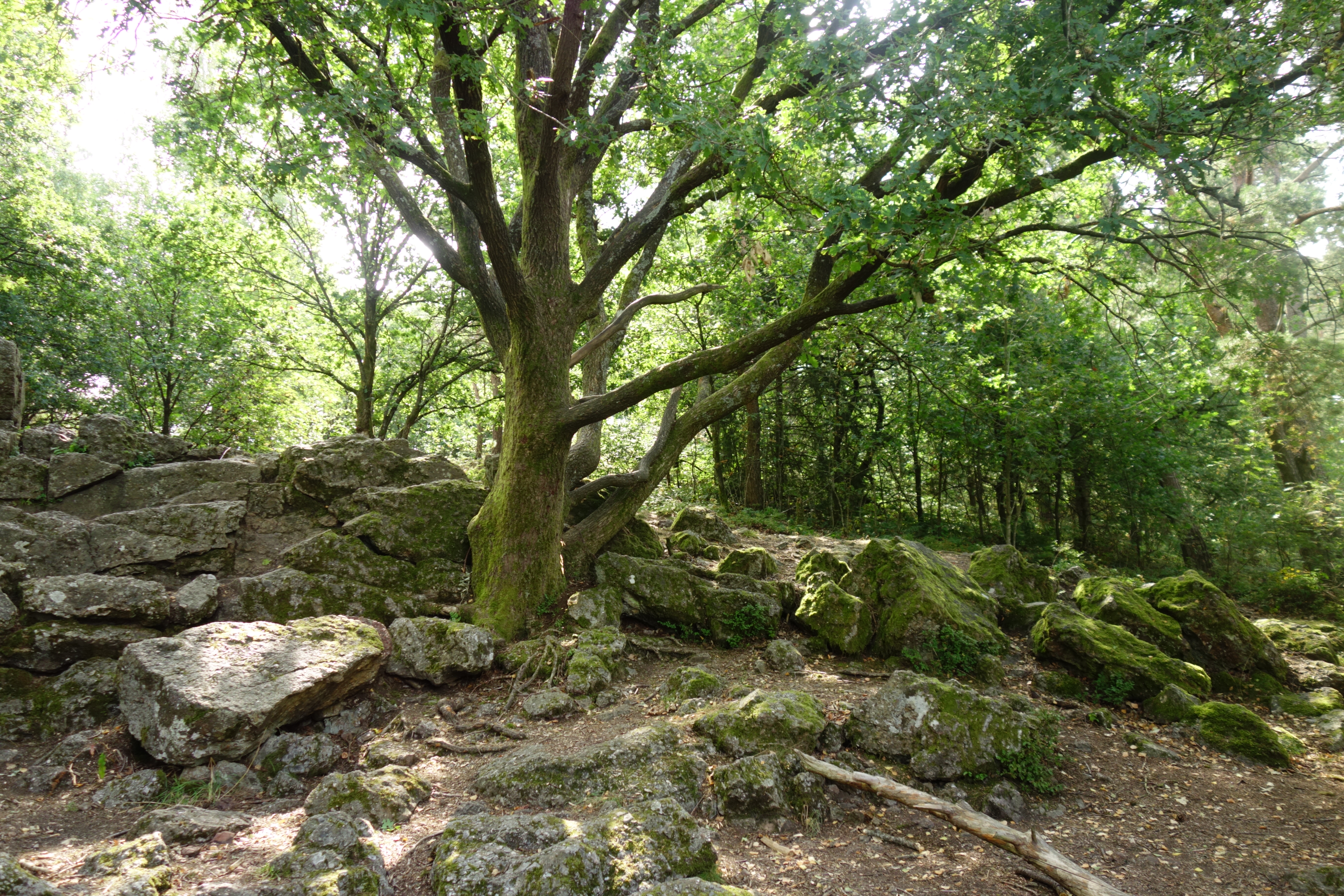 Wéris: Grootse landschappen | From the sea to the land beyond